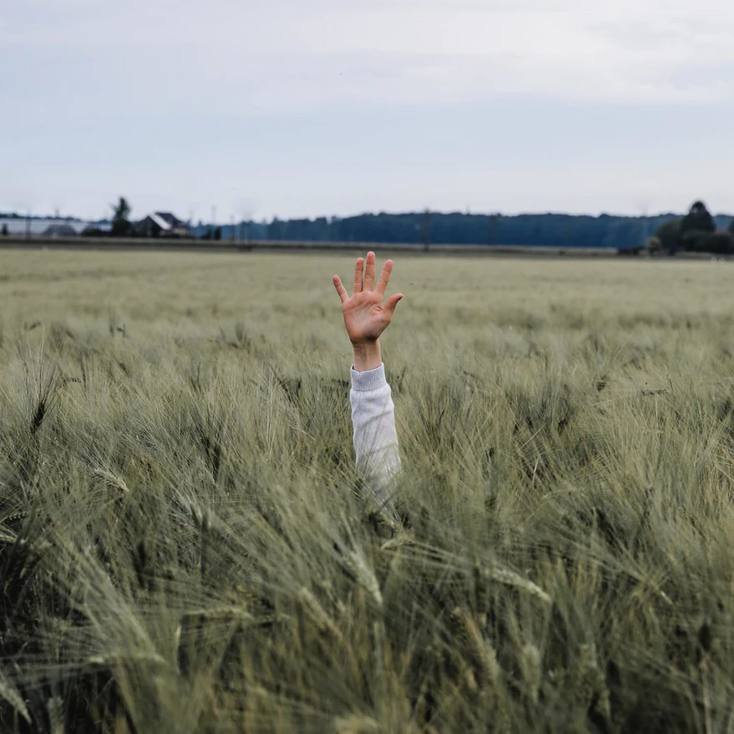 The Isolated Leader | ted Learning Blog